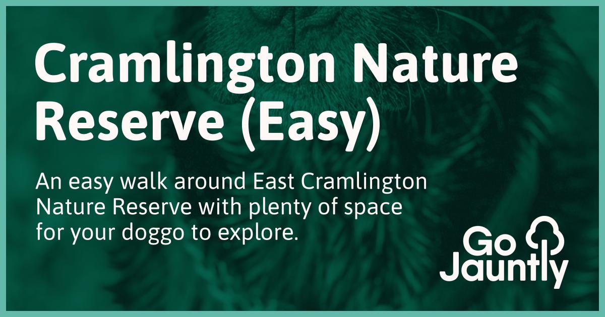 Cramlington Nature Reserve (Easy) - Go Jauntly