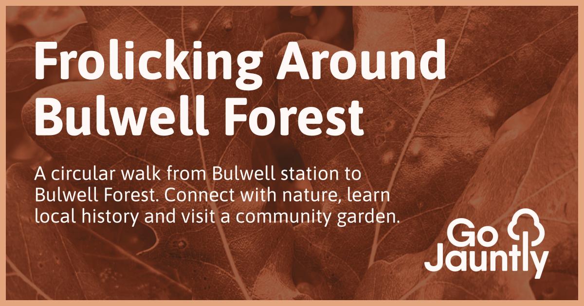 Frolicking Around Bulwell Forest - Go Jauntly