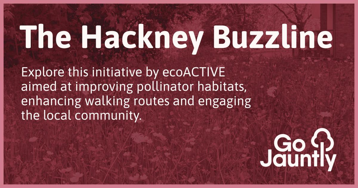 The Hackney Buzzline - Go Jauntly