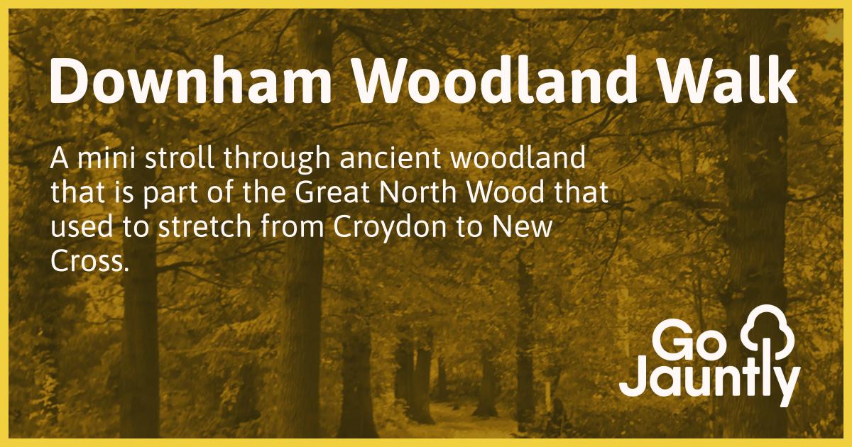Downham Woodland Walk - Go Jauntly