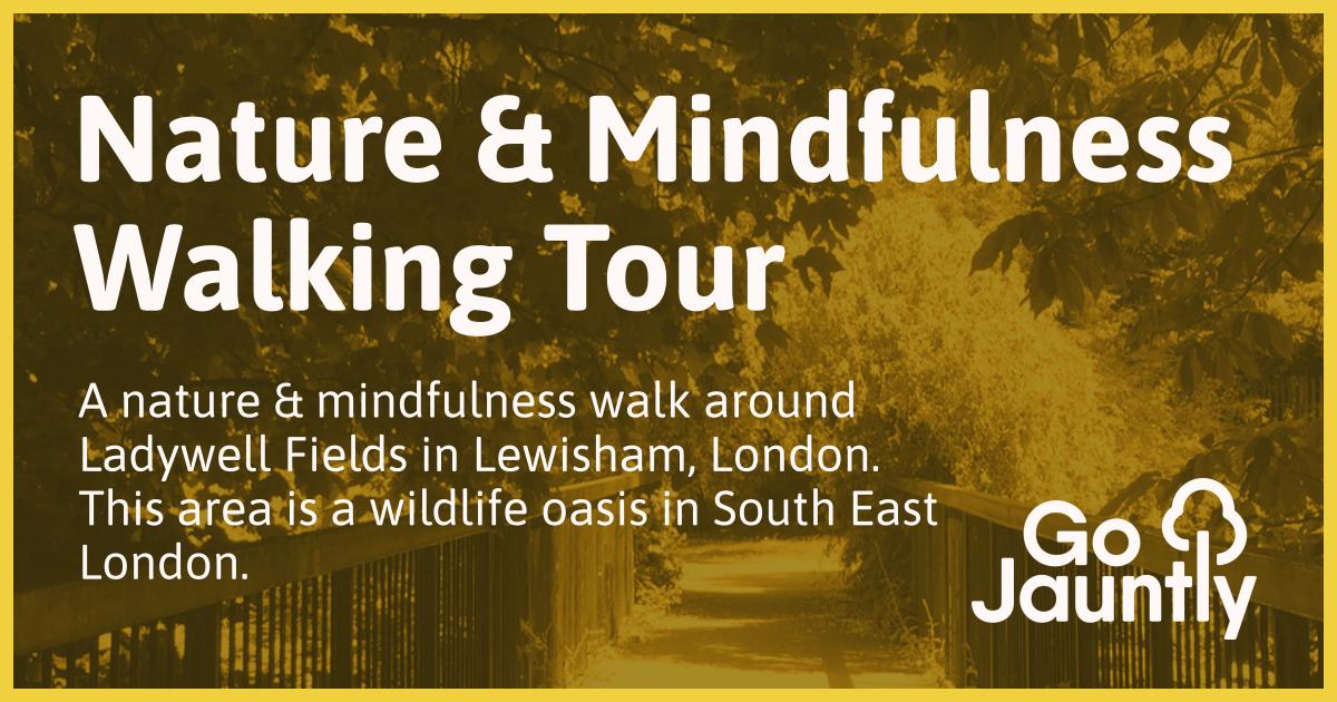 Nature & Mindfulness Walking Tour - Go Jauntly