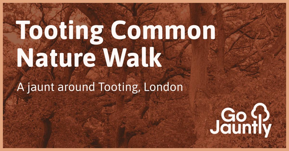 Tooting Common Nature Walk - Go Jauntly