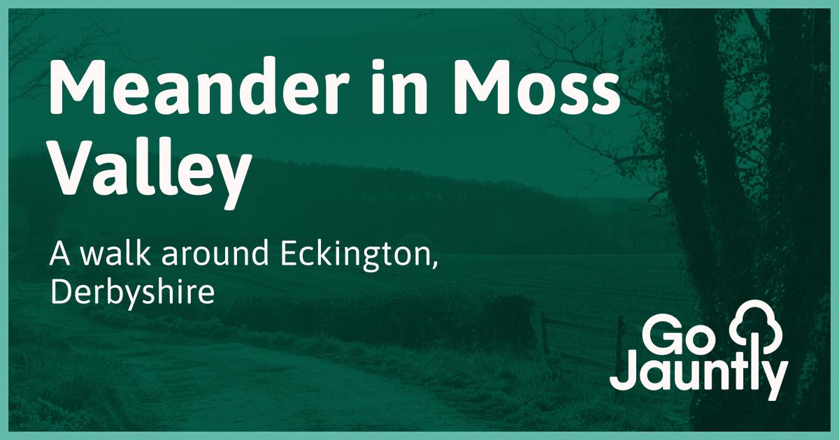 Meander in Moss Valley - Go Jauntly