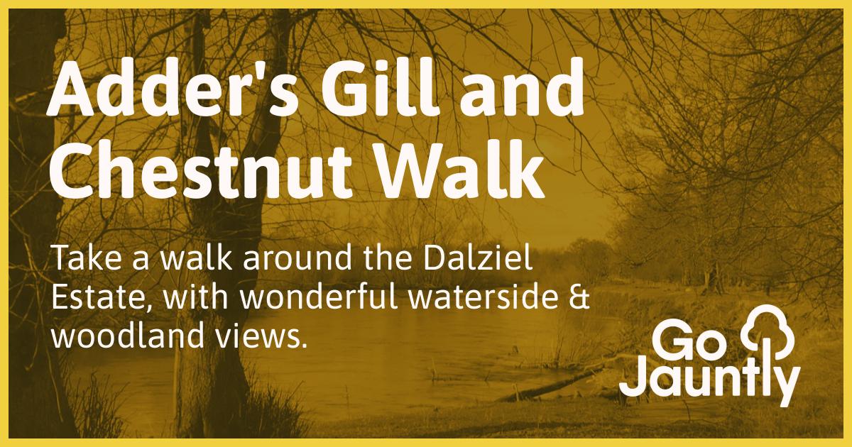 Adder's Gill and Chestnut Walk - Go Jauntly