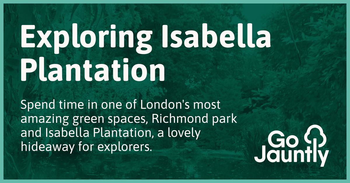 Exploring Isabella Plantation - Go Jauntly