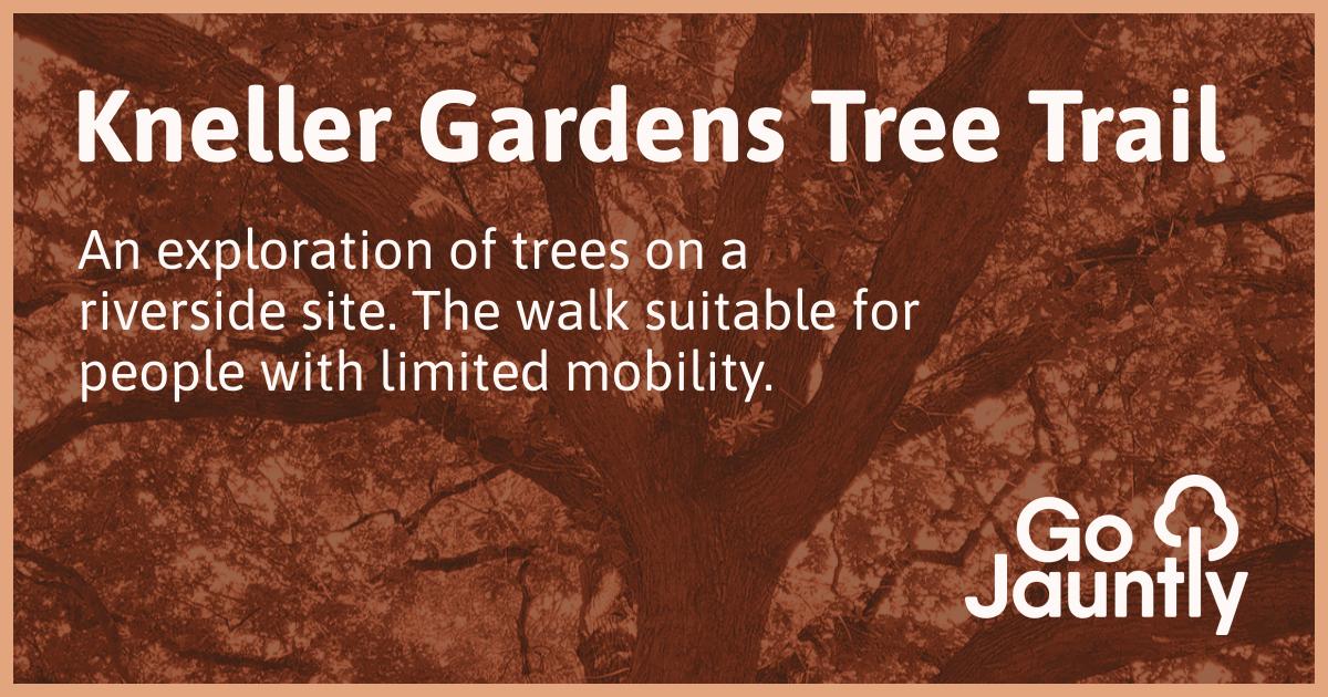 Kneller Gardens Tree Trail - Go Jauntly