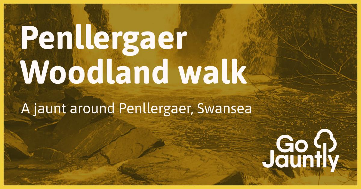 Penllergaer Woodland walk - Go Jauntly