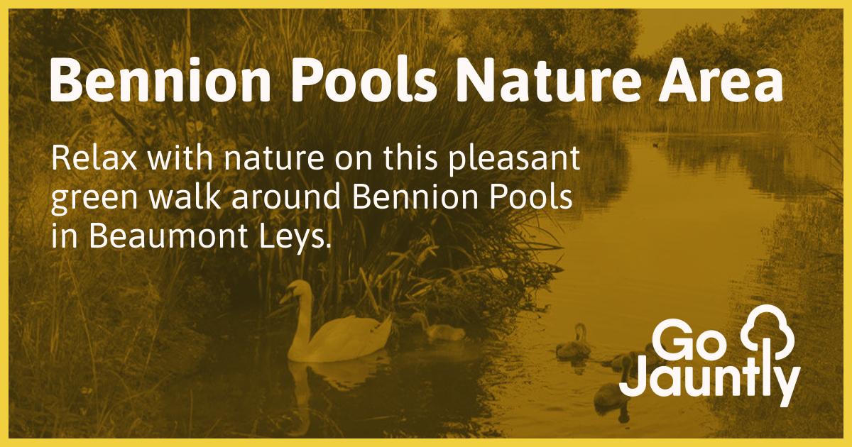 Bennion Pools Nature Area - Go Jauntly