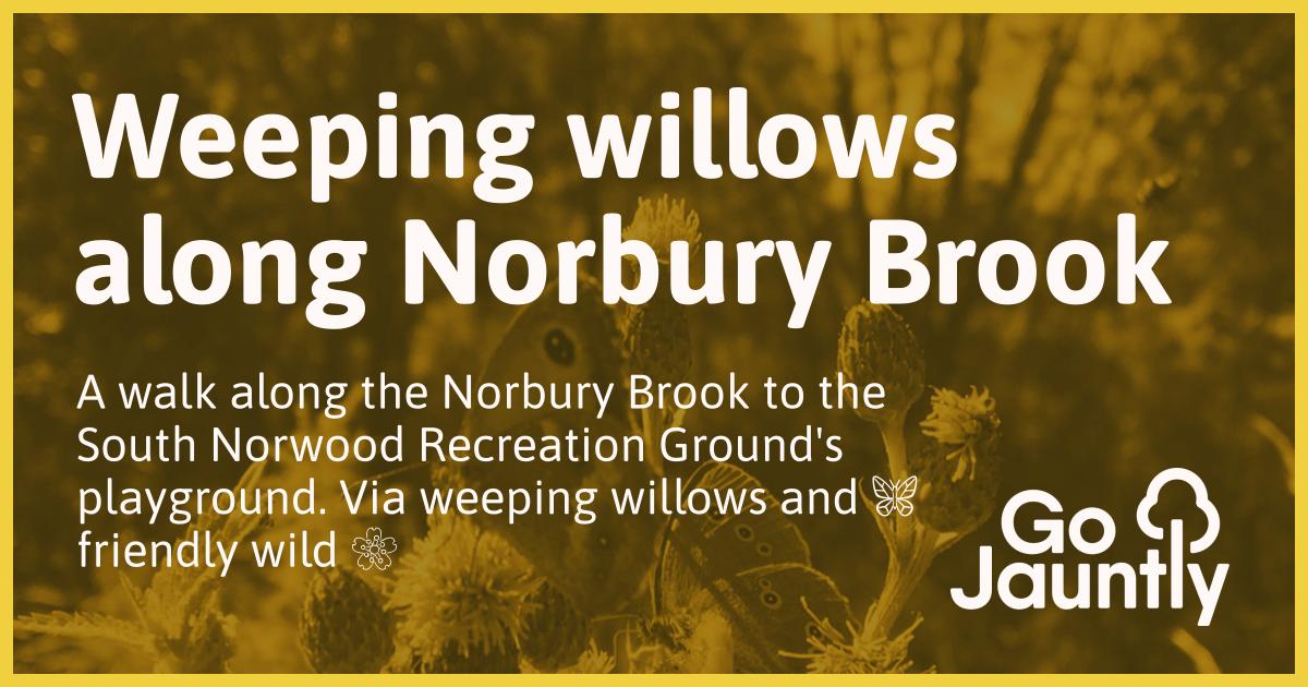 Weeping willows along Norbury Brook - Go Jauntly