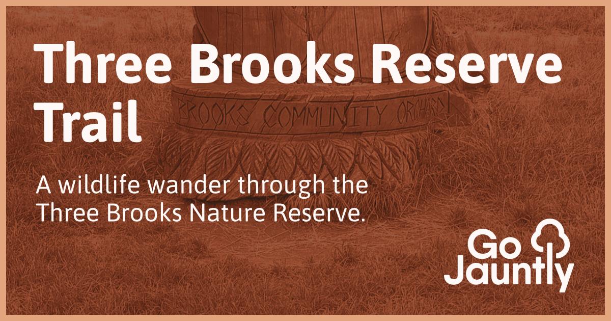 Three Brooks Reserve Trail - Go Jauntly
