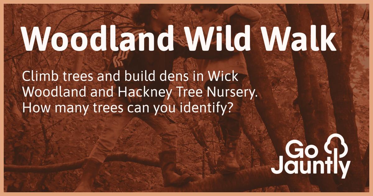 Woodland Wild Walk - Go Jauntly