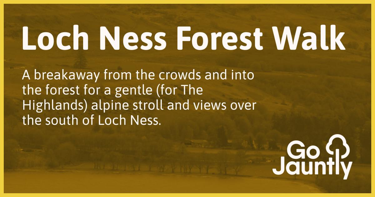 Loch Ness Forest Walk - Go Jauntly