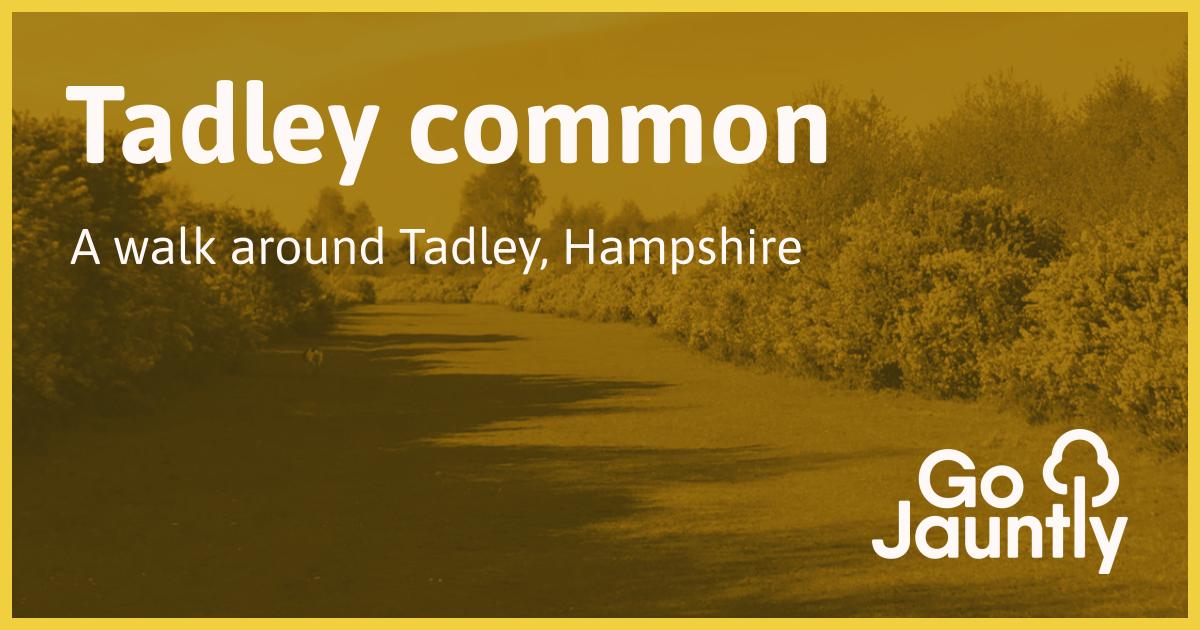 Tadley common - Go Jauntly