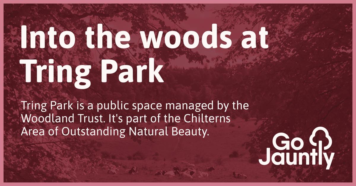 Into the woods at Tring Park - Go Jauntly