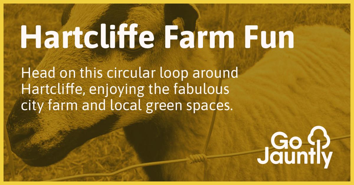 Hartcliffe Farm Fun - Go Jauntly