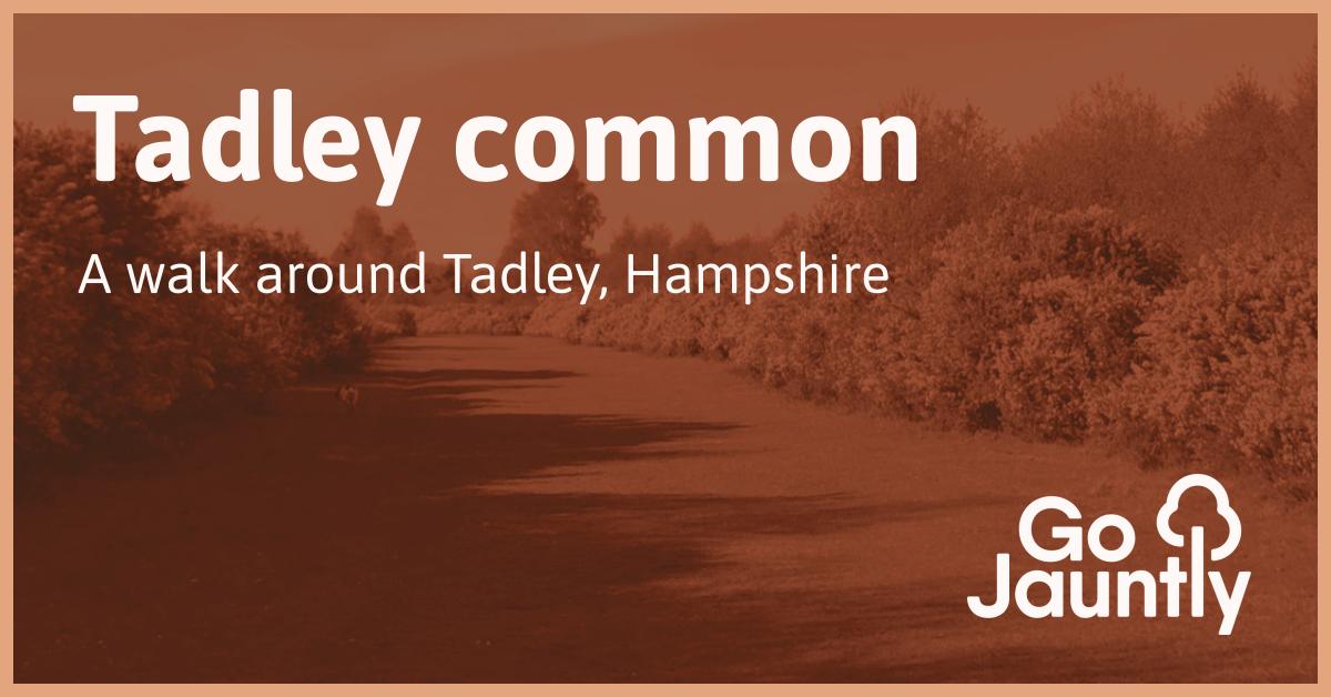Tadley common - Go Jauntly